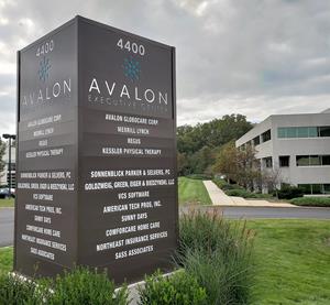 Avalon GloboCare Achieves Milestones in Advancing Novel Intranasal and ...